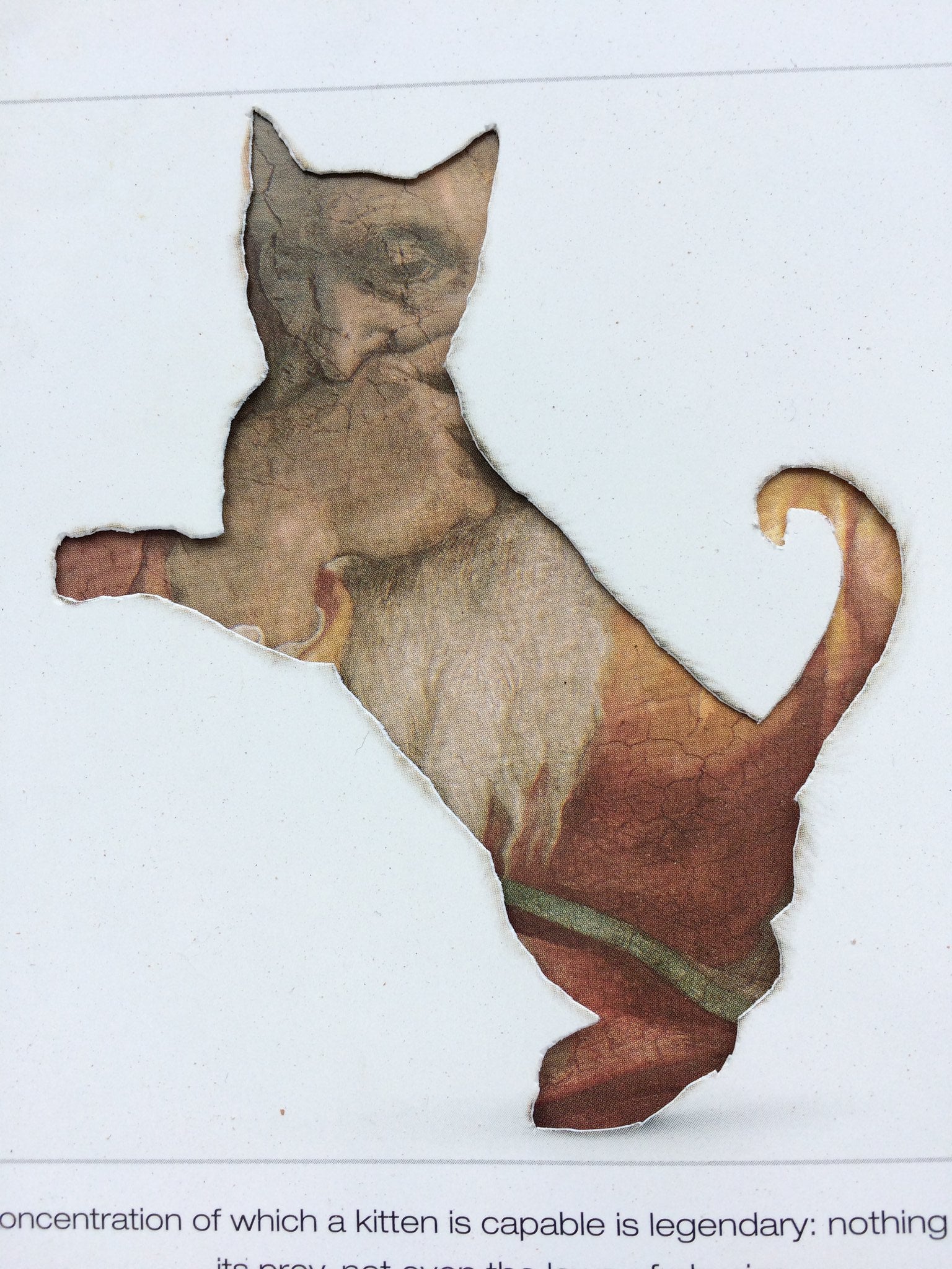 The Prophet Jeremiah as a Kitten in The Sistine Chapel | Sean Hillen ...